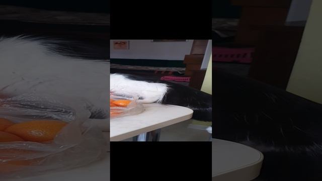 Ужас, кто-то что-то сверлит...