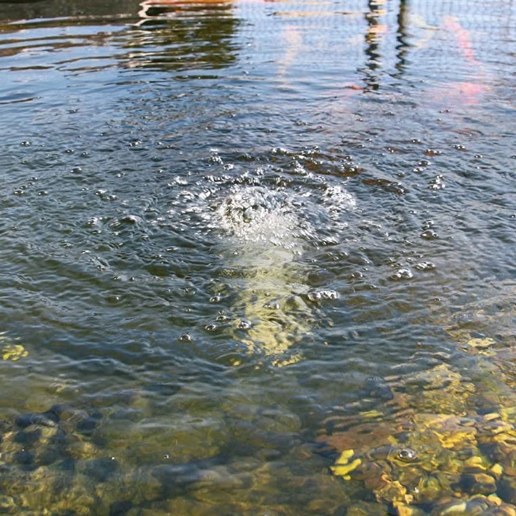 Аэратор от солнечных панелей.
