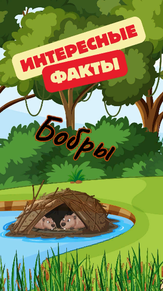Интересные Факты | Бобры #Shorts