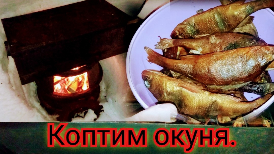 Вечер выходного дня. Копчение окуня на ольхе.