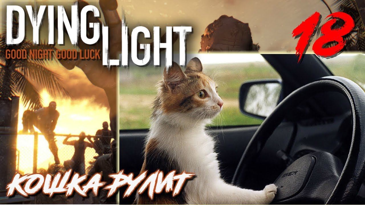 Dying Light ПРОХОЖДЕНИЕ С РУССКОЙ ОЗВУЧКОЙ #18 Кошка рулит