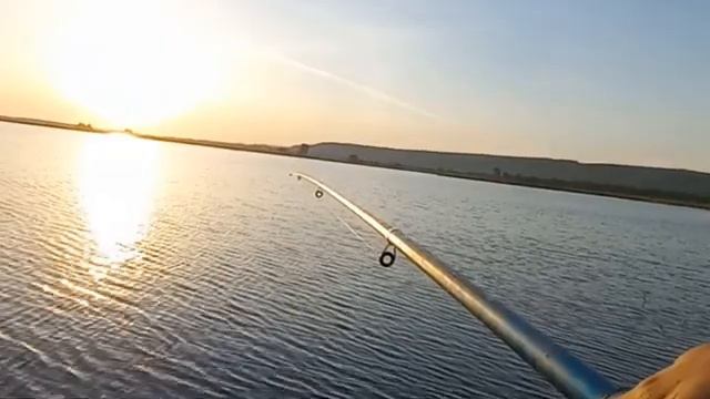 Рыбалка на поплавок на озере . Ловля язя на поплавок . Ловля язя на озере . Рыбалка 2024 . Рыбак .