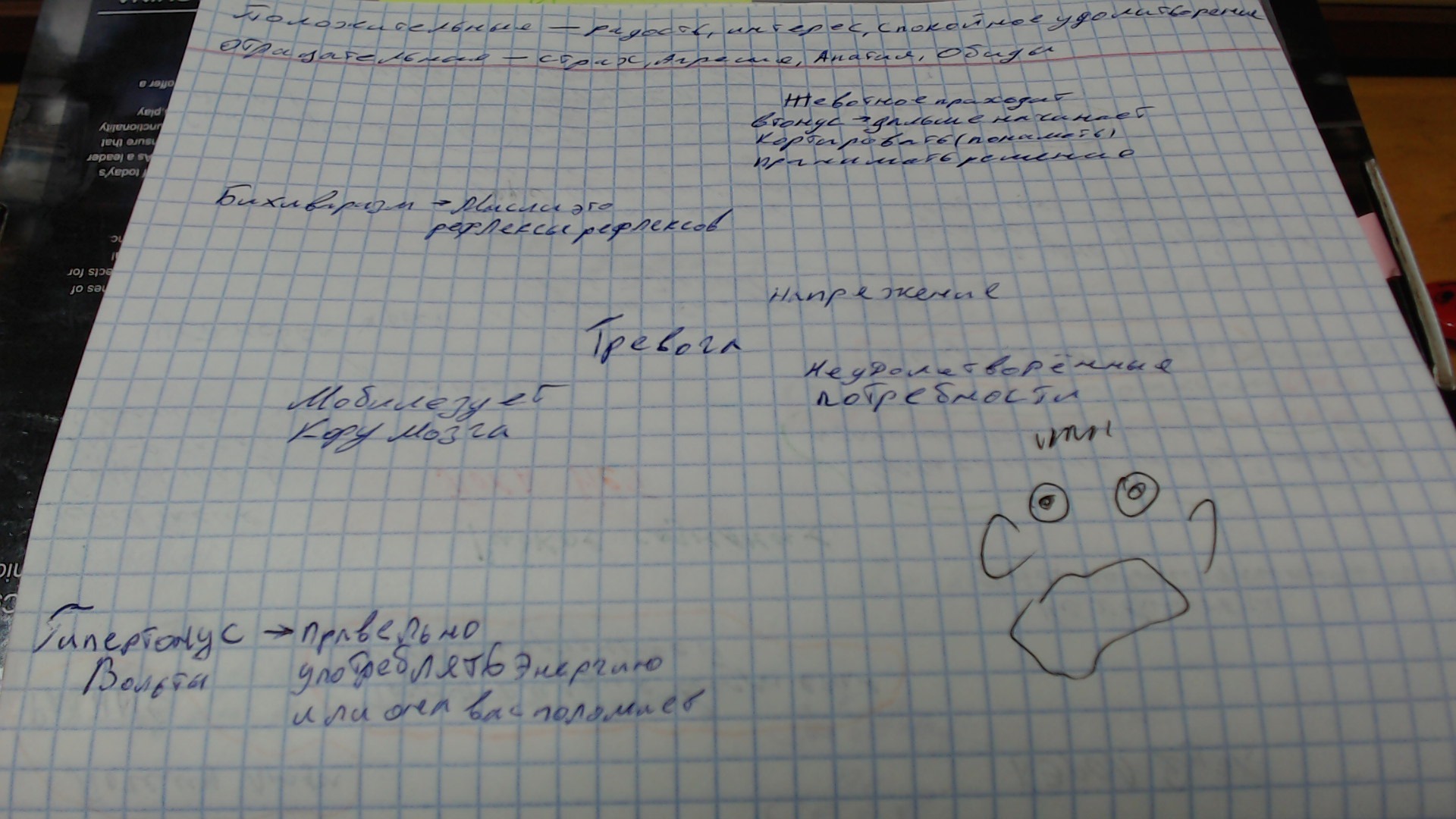 Тревога. Это чувство или эмоция ? Вредна ли она? Разбираем на факт карте