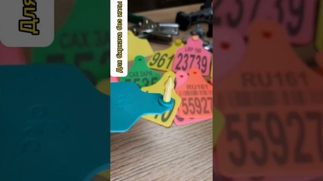 Раз телятки прибывают, бирок много не бывает)