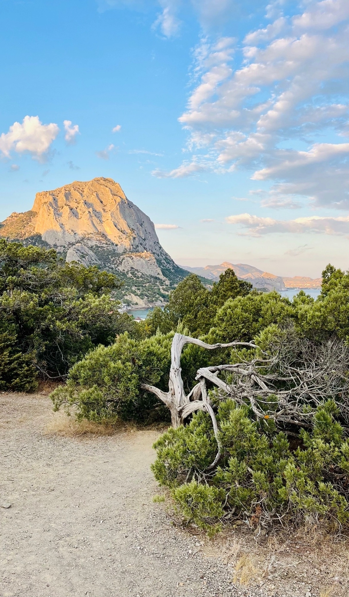 💕🌞🌿 С добрым утром, днём!