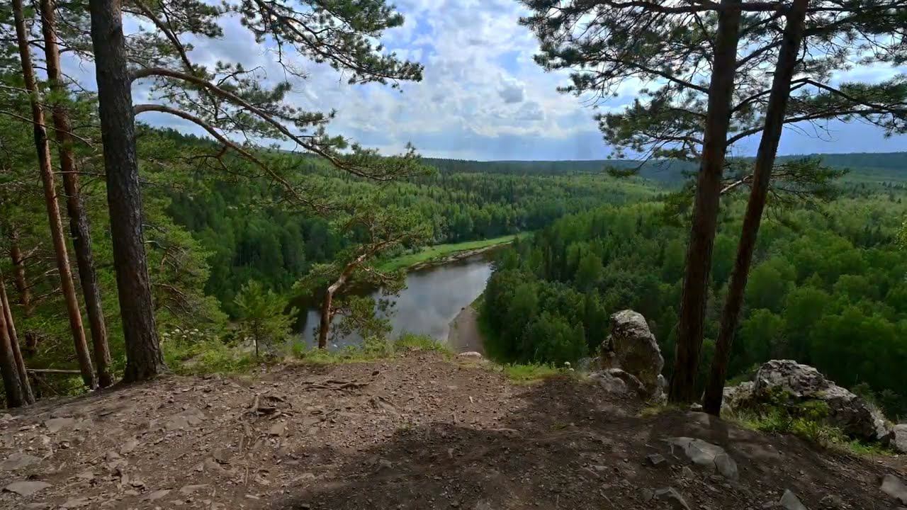 Мелодия любви