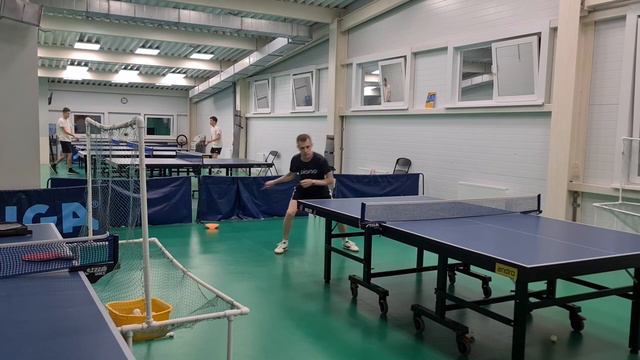 Топсы китайским пером и накладкой DHS Skyline 2 NEO