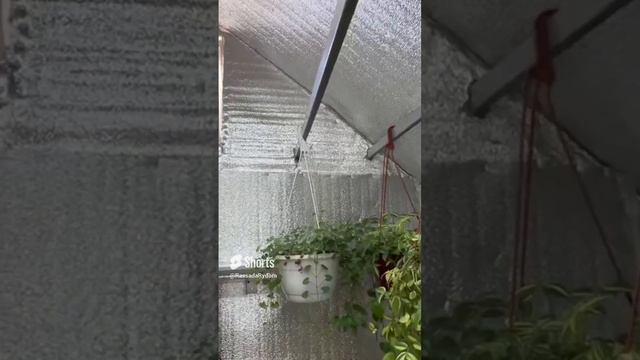 #тепличныйбизнесвдеревне