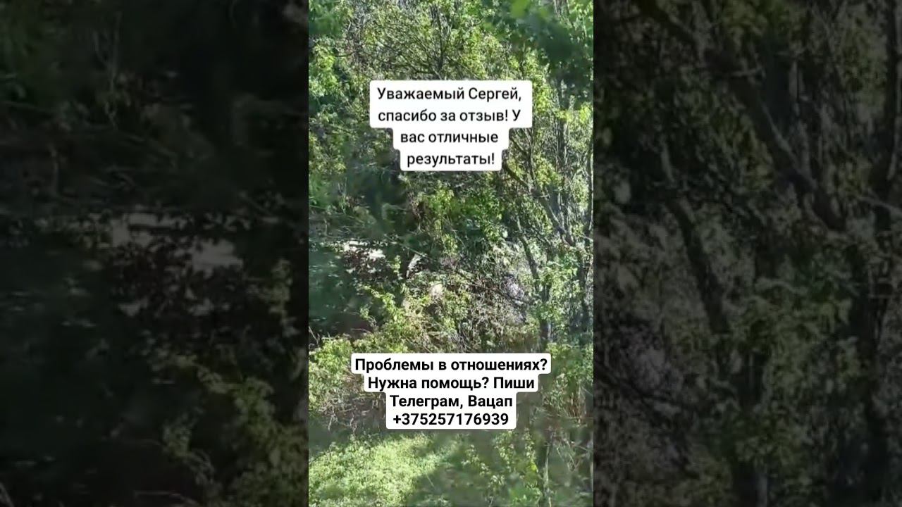 #мужскойпсихолог #психологонлайн #психологияотношений #вернутьбывшую #психологияженщины