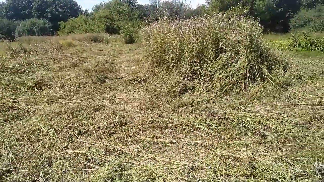 Покос травы бывает разный