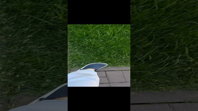 Дрожжик играет в футбол