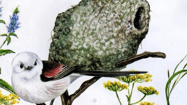 Замечательные дома