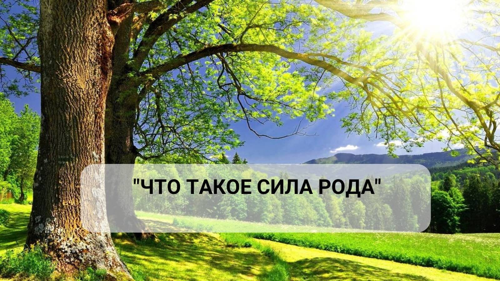 Что такое Сила Рода?