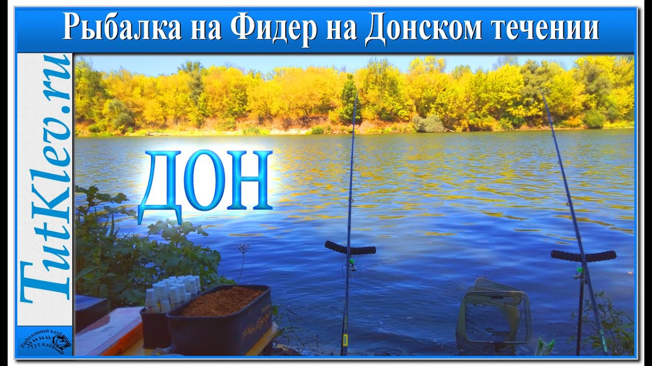Фидер на Донском течении. Рыбалка в августе на реке Дон.mp4