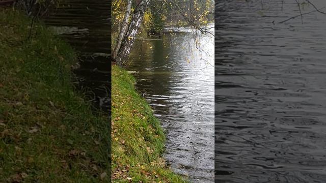 Сибирь осенью