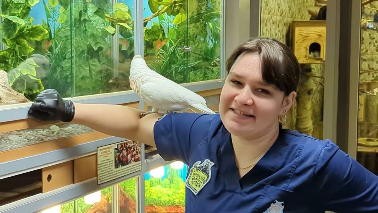 Сахалинский зооботанический парк. "Культурный код 65"