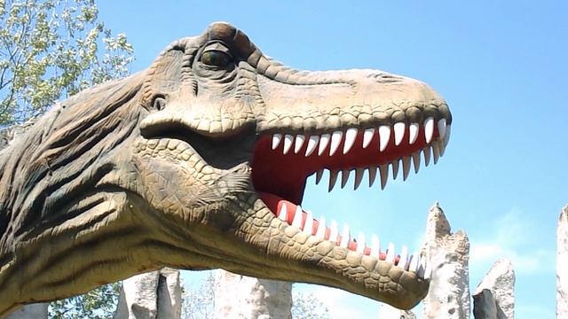 DSCN3921.AVI Краснодар паркСафари парк Галицкого 2021