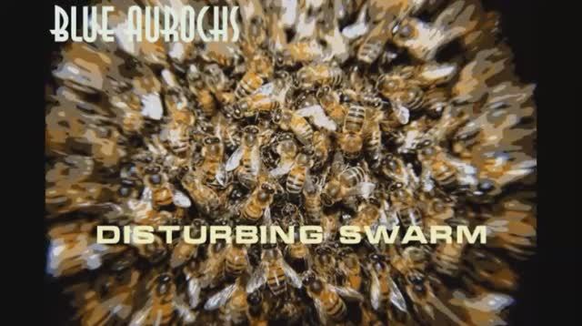 Композиция 'Disturbing Swarm' от продюсера Blue Aurochs