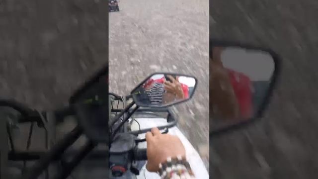 Аренда квадроциклов в Лазаревском