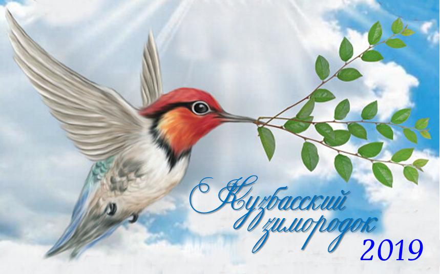 Кузбасский зимородок - 2019 (ТВН)