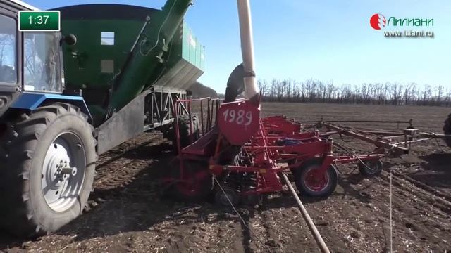 Скоростной сев  с помощью бункера-перегрузчика. Обучающий фильм