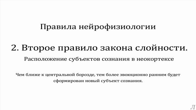 10.2 Правила нейрофизиологии. Второе правило закона слойности