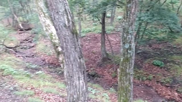 Приморский Сафари-парк