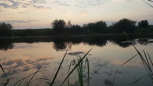 Под журавлиную песнь