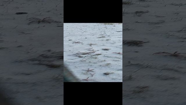 Первый снег в сентябре