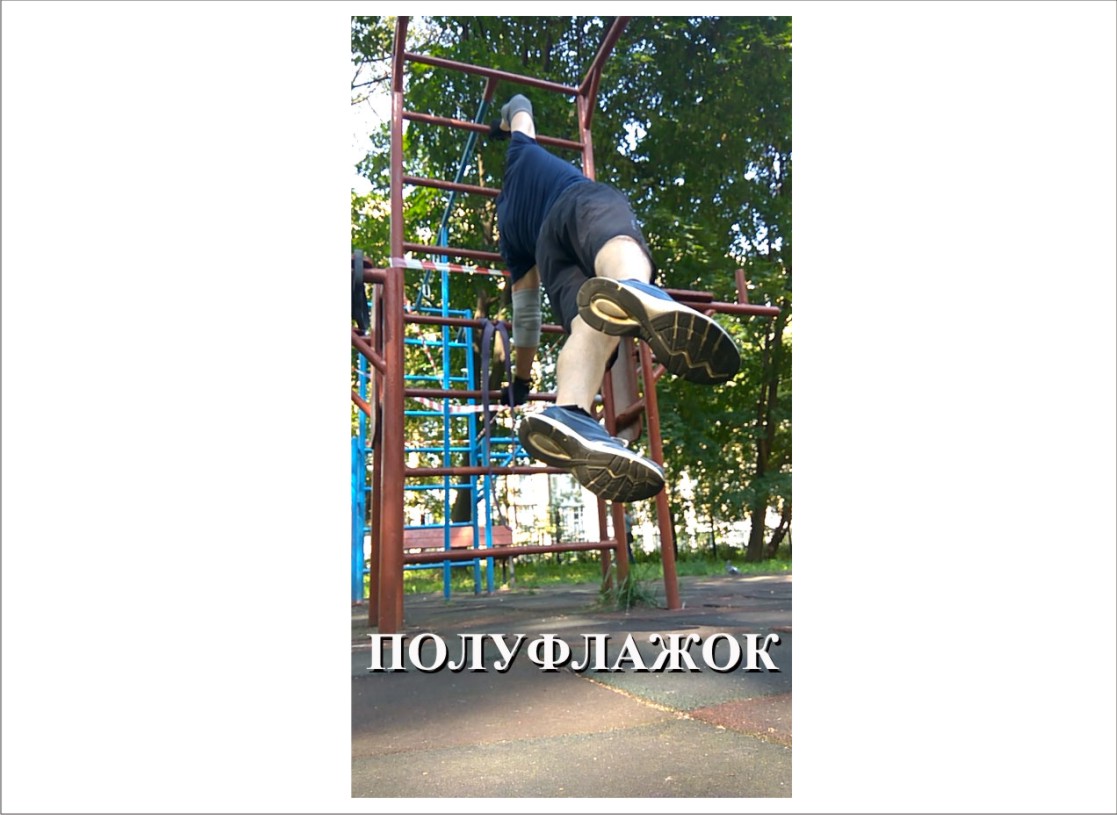 Спорт