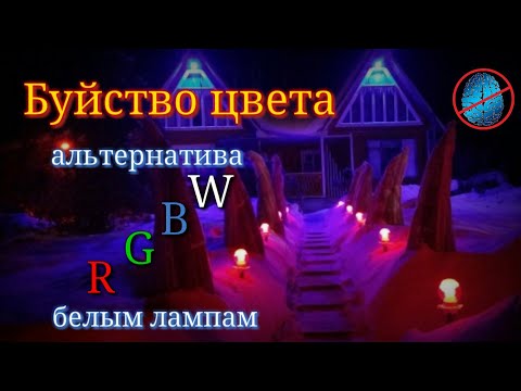 Освещение участка. Установил RGBW лампы вместо обычных #недолгодумая, получилось так...