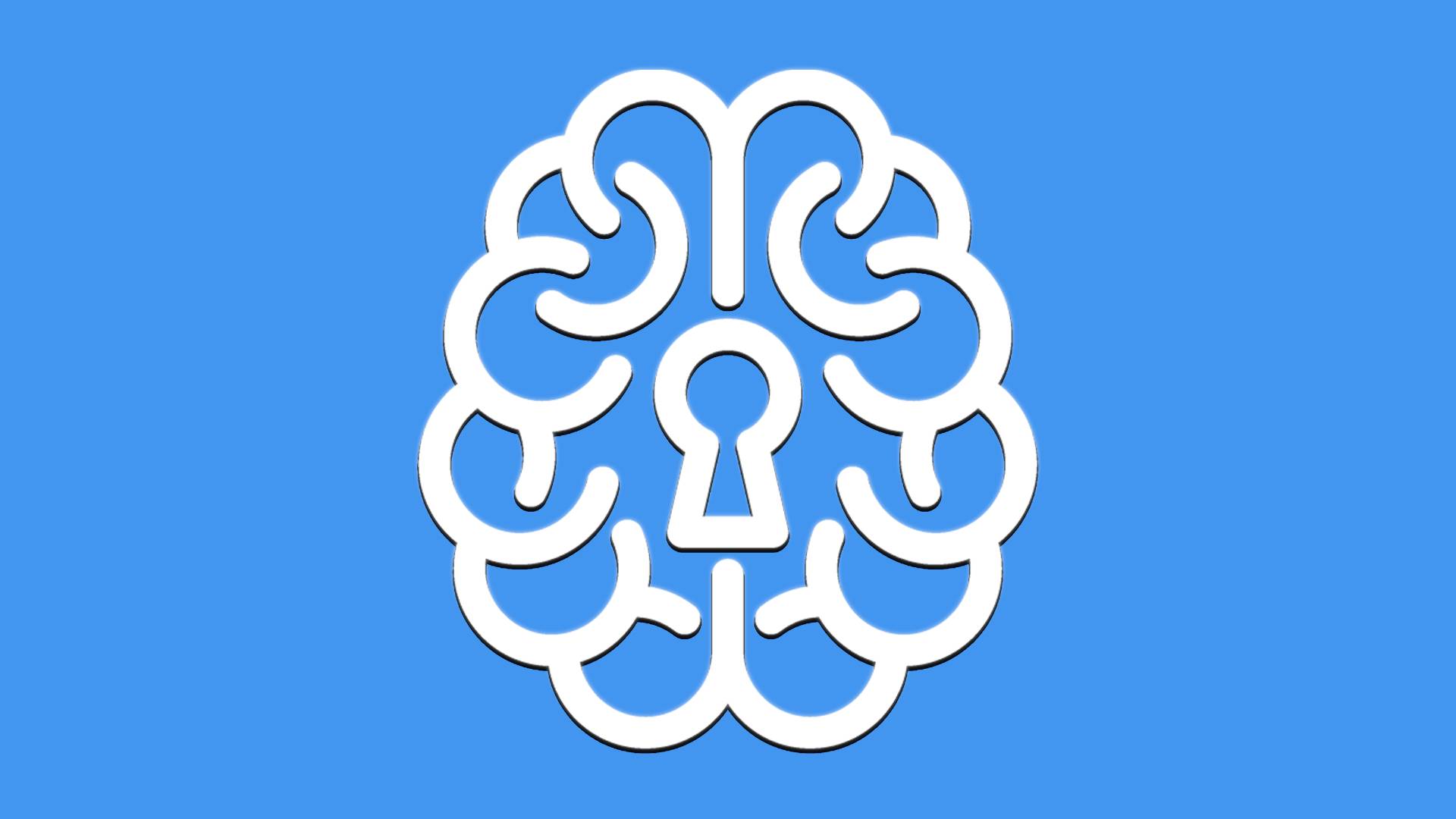 Дыхательная система (анатомия)