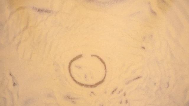 Сыпучая техника  Группа Зеленых.