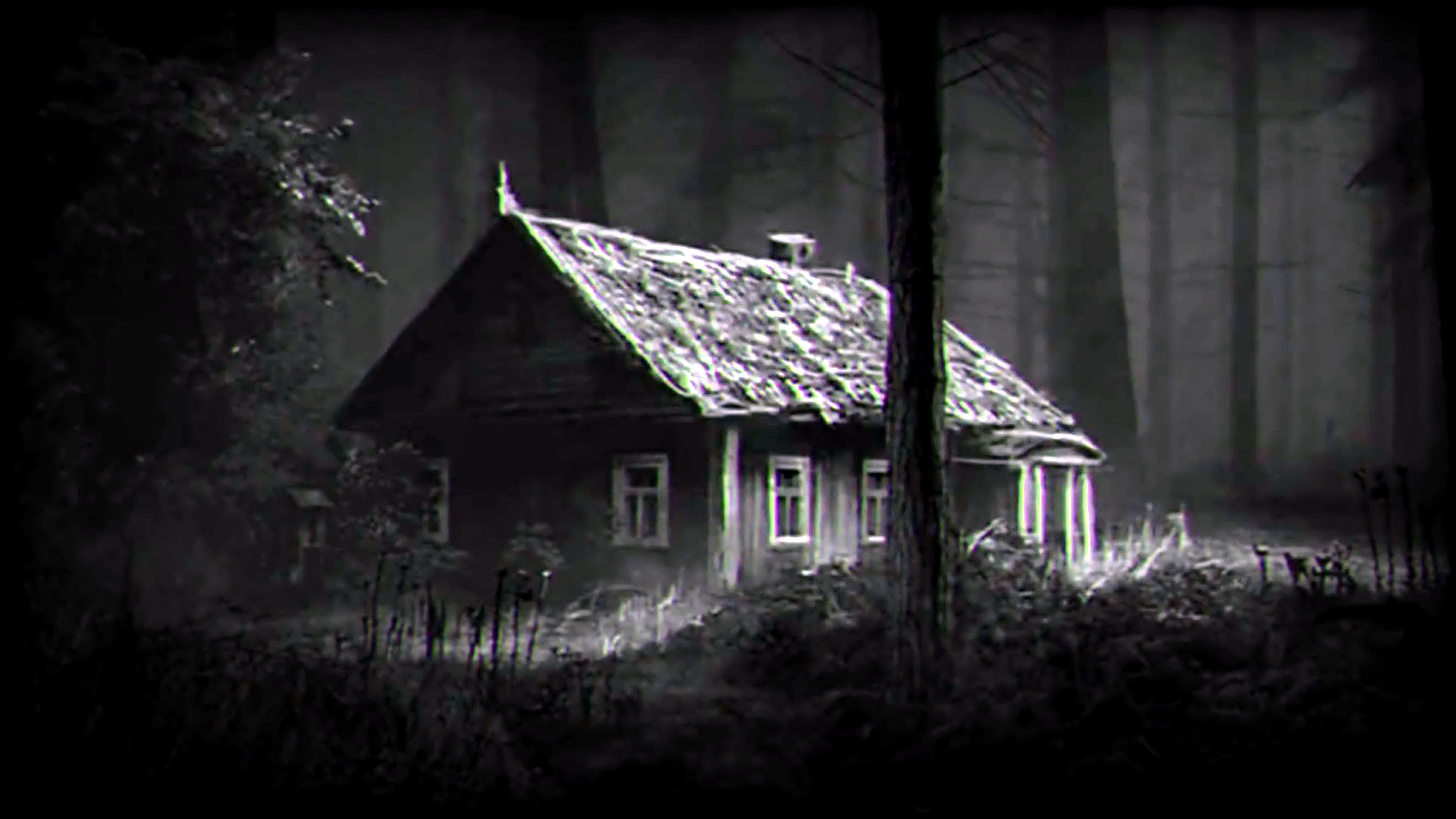 Однажды в лесу