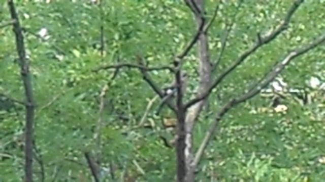 Mortal combat Jay. Part 2. 68r43j54v05472