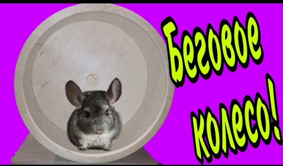 Беговое колесо для шиншилл.40 см.