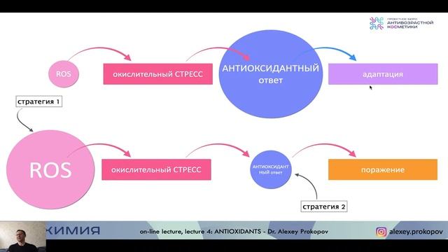 Лекция 6. Антиоксиданты: друзья или враги? ЧАСТЬ ВТОРАЯ — Алексей Прокопов