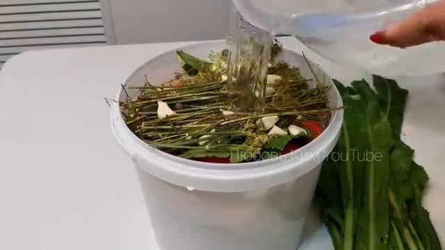 🍅🍲БОЧКОВЫЕ ПОМИДОРЫ НА ЗИМУ. Самые  ВКУСНЫЕ ПОМИДОРЫ.