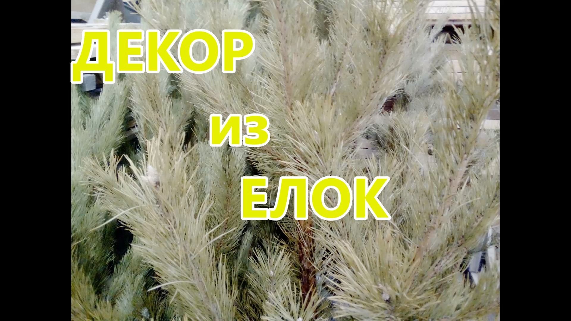 Декор кухни из новогодних елок . Декор комнаты своими руками . DIY .