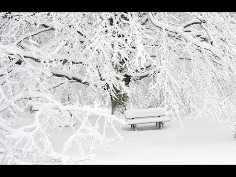 Первый снег.(читает автор)