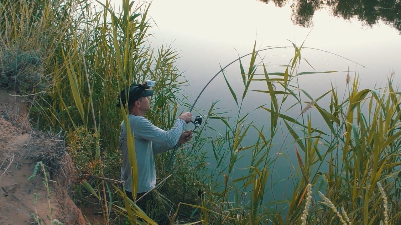 ЛОВЛЯ САЗАНА НА ЖМЫХ В ЗАРОСЛЯХ КАМЫША. Пришлось побегать.  Нереальная жара и рыбалка в Астрахани.