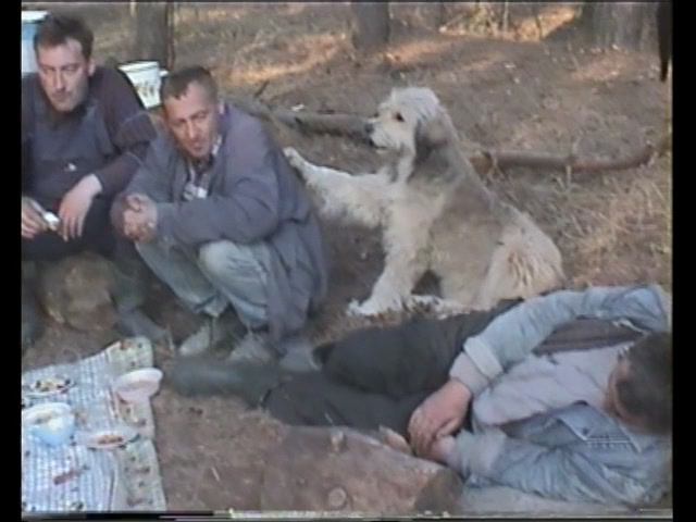 -Третьим будешь ?