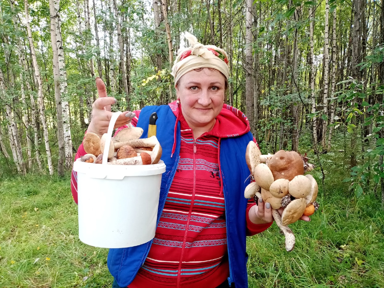 много БЕЛЫХ и КРАСНОГОЛОВИКОВ