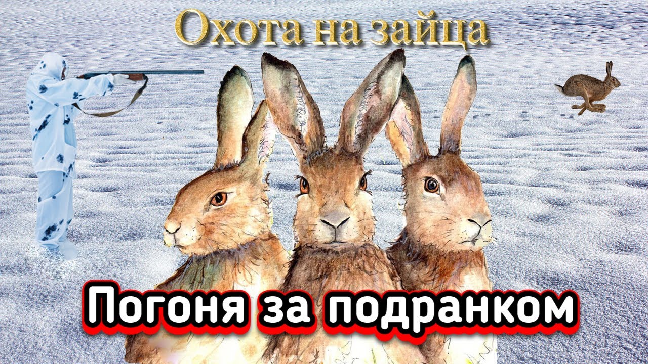 Охота на зайца. Подранки от нас не уходят.