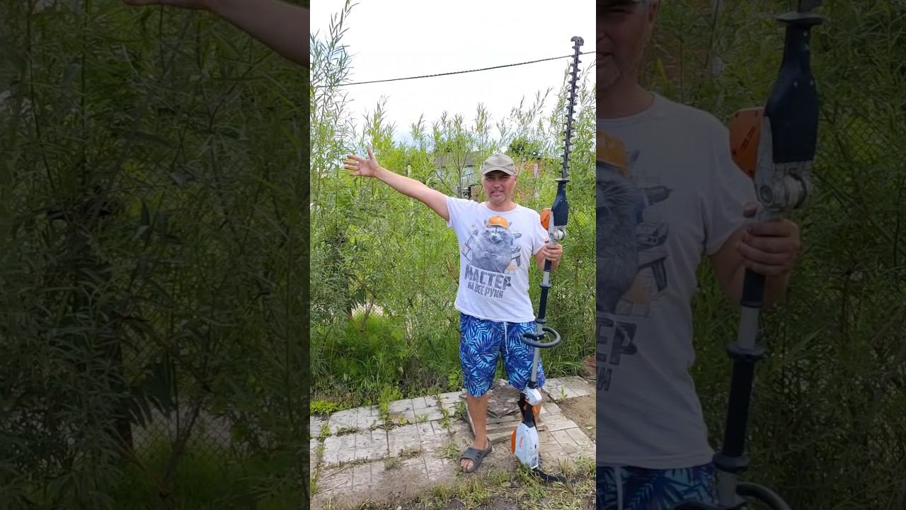 Живая изгородь из Ивы стричь по кайфу #шорты #шортс #дача #топиарий #лето #ива #сад #тольятти