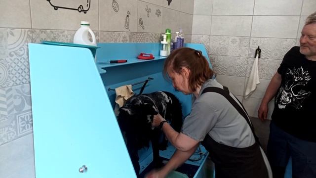 VID_20220514_121054.3gp