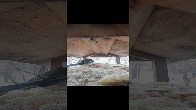 20231123_093608~2.mp4