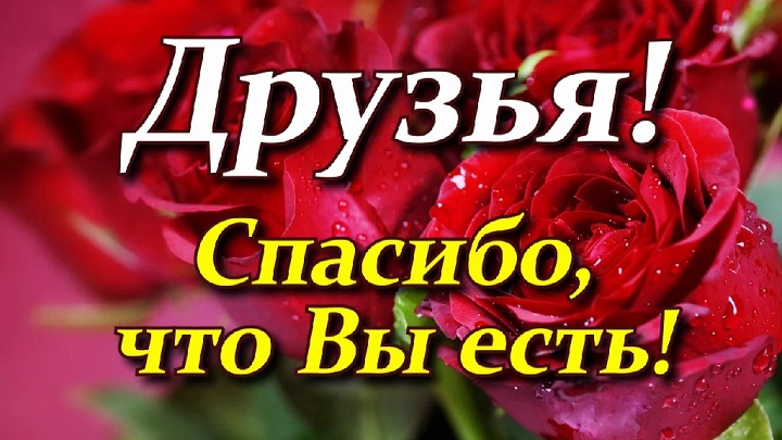 Песня ,,Спасибо вам, друзья!"   Brat Bruder.