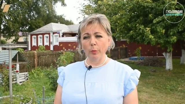 Дом гуся в селе Богородское