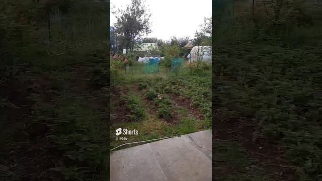 Погода рушит планы, инструмент, который прилично экономит время. #diy #make #дача #shorts #weld